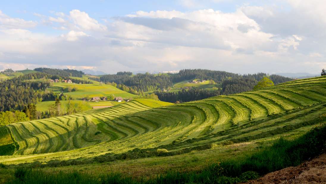 Sumiswald entdecken - Sumiswald Tourismus